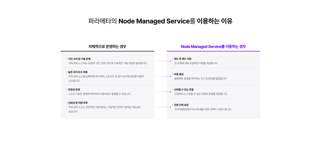Node Managed Service – PARAMETA